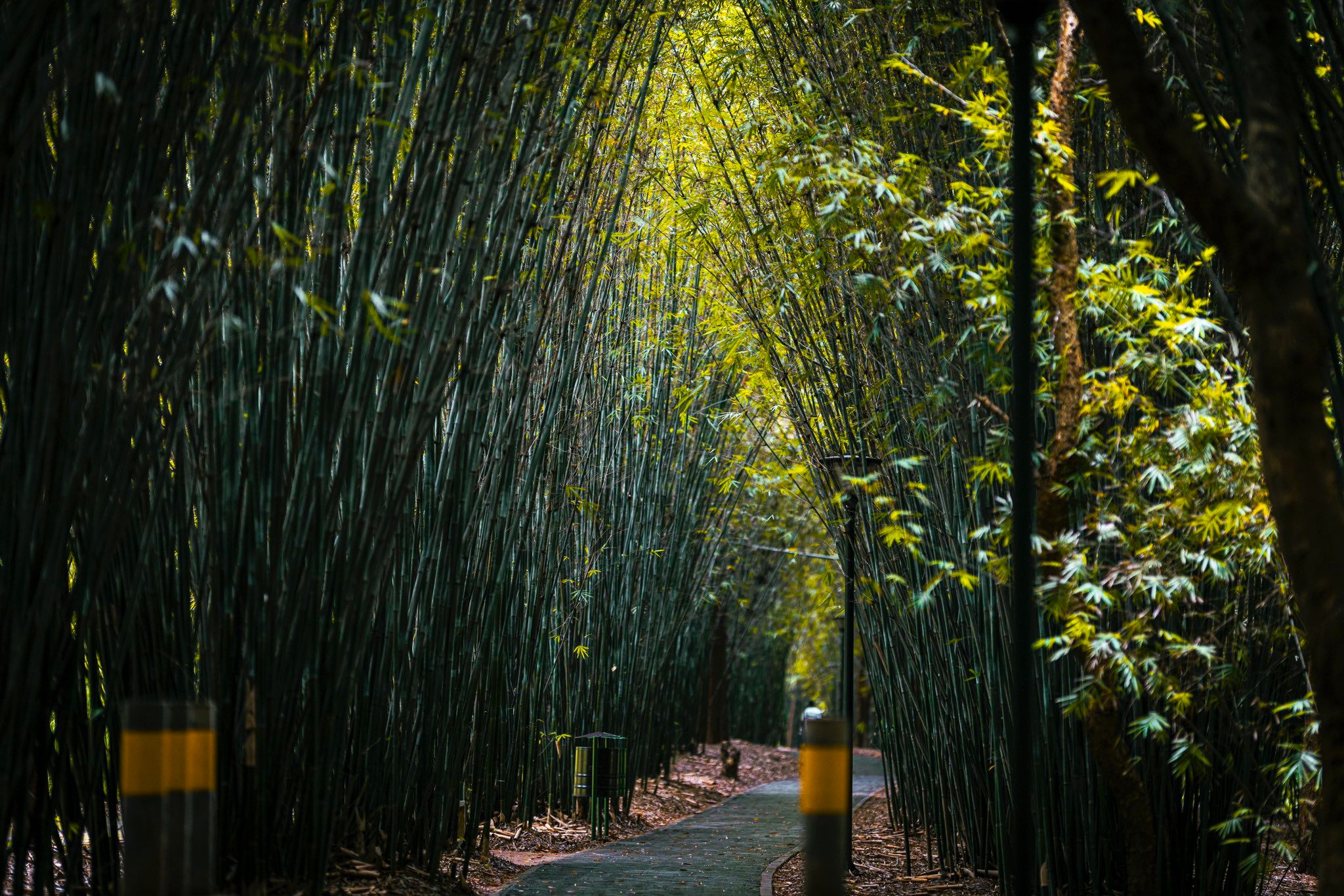 HOTEL PARTNERS IN RWANDA - Wild Wonders Await: Your East African Escape